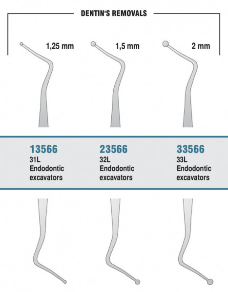 Elite Scaler Endo Excavator | DentaQ - Dental Products | DentaQ
