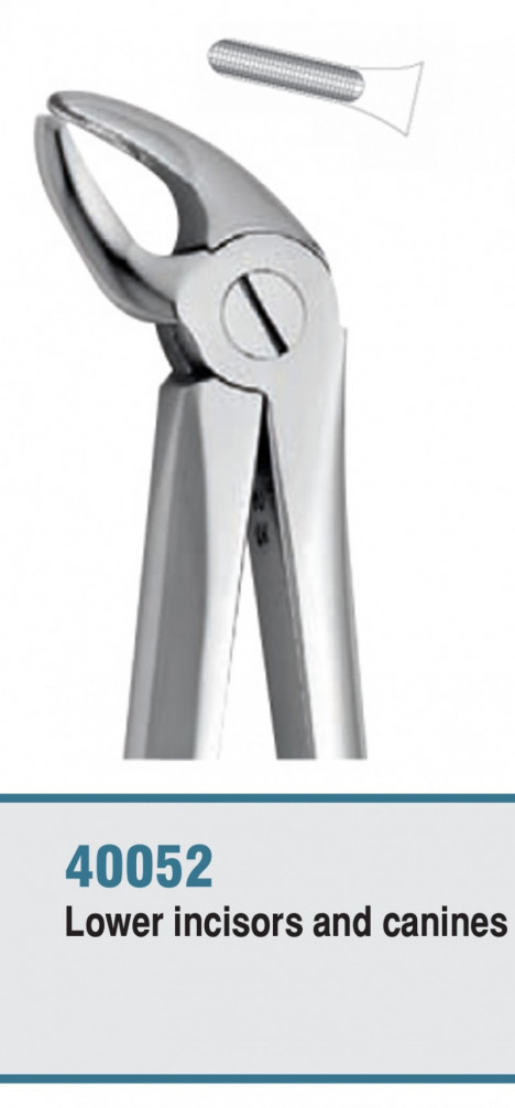 Elite Lower Incisors and Canines Forceps ANGLED HEAD | DentaQ - Dental ...
