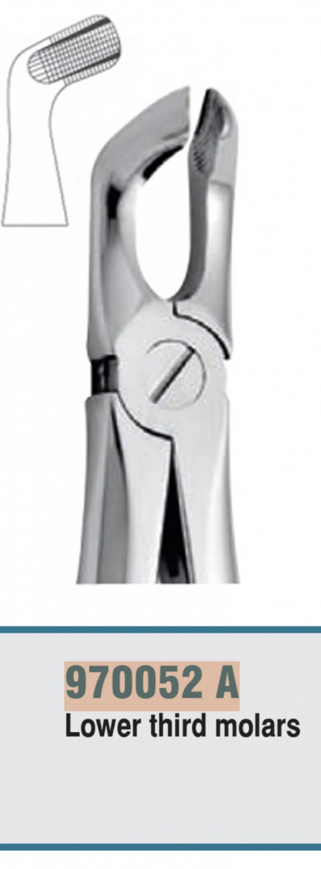 Elite Lower Third Molars forceps FLAT BEAK | DentaQ - Dental Products ...